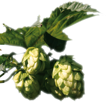 Biershop Bayern Stadtbrauerei Spalt